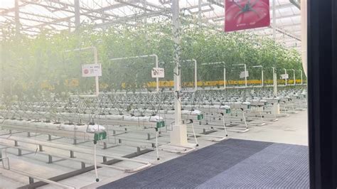 Latchezar Dinev On Linkedin Можете ли да си представите на покрива