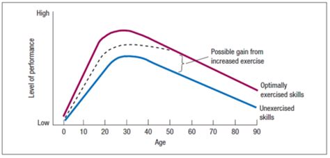 Psych 2235 Chapter 15 Cognitive Development In Middle Adulthood Models Of Physical And