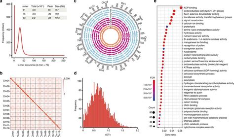 The Taxus Genomic Features To Complement Fig 1 A Genome Size Download Scientific Diagram