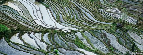3 Days Yuanyang Rice Terrace Hiking Tour For Hani Culture Exploration