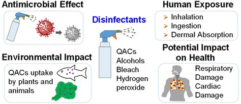 Oxidizer Definition And Examples Biology Online Dictionary