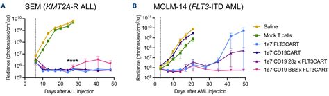 Potent Preclinical Activity Of Flt3 Directed Chimeric Antigen Receptor