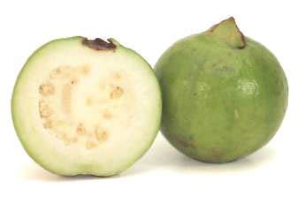 Tropical Fruit Global Information System