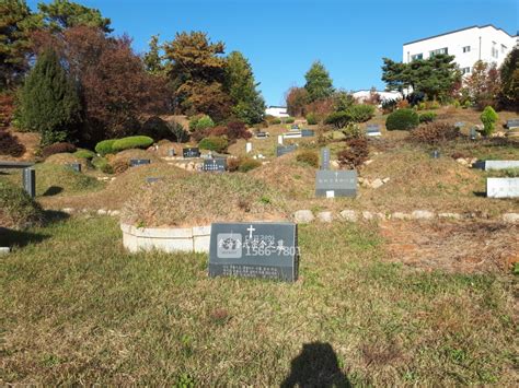 기독교 공원묘지 일산 파주 네이버 블로그