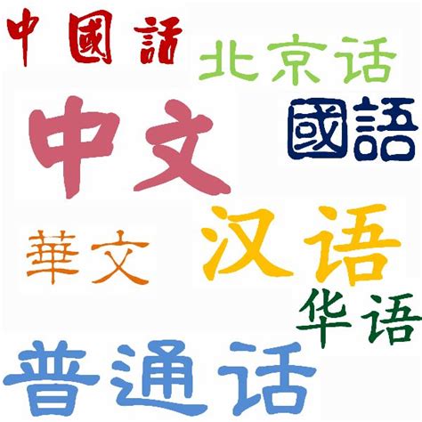 汉语 第四天 新希望教育