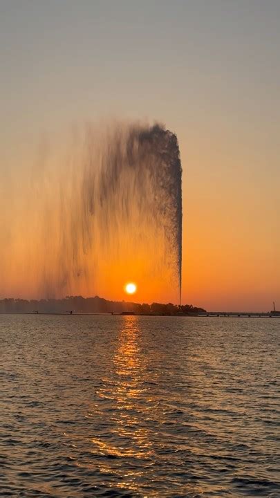 Abdur Rahman عبد الرحمن فاروق On Linkedin Abdurrahmanfarooq