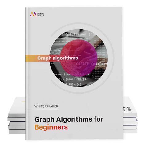 Beginners Guide To Graph Algorithms Whitepaper