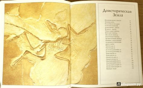 Книга Иллюстрированный энциклопедический словарь Купить книгу читать рецензии Лабиринт