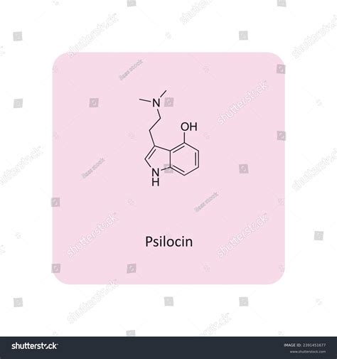 Psilocin Molecular Structure Skeletal Formula Diagram Stock Vector Royalty Free 2391451677 Psilocin Molecular Structure Skeletal Formula Diagram Stock Vector Royalty Free 2391451677
