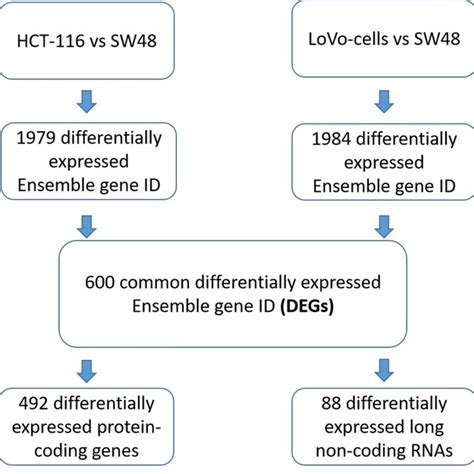 Gsea Analysis For Oncogenic Signature Gene Sets A Enrichment Plot Of