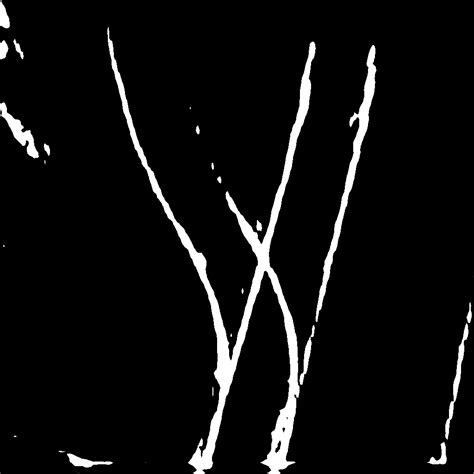 Different Output Of Neural Network Using Tensorrt Model Directly And