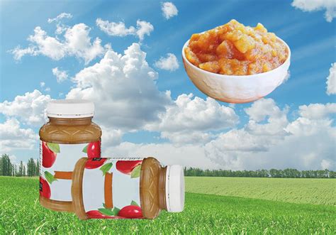 Sustainable Development Of Aseptic Sterilization Technology Capping