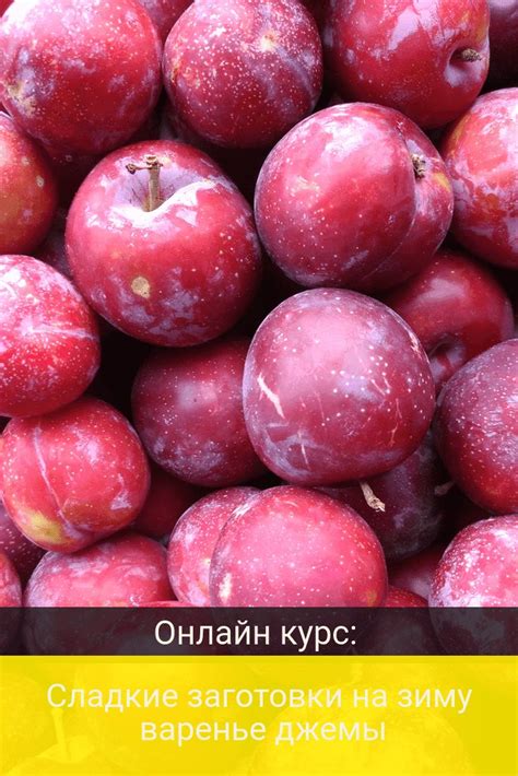 Бесплатный онлайн курс Сладкие заготовки на зиму варенье джемы