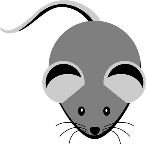 Download Mouse Ears Nature Royalty Free Vector Graphic Pixabay