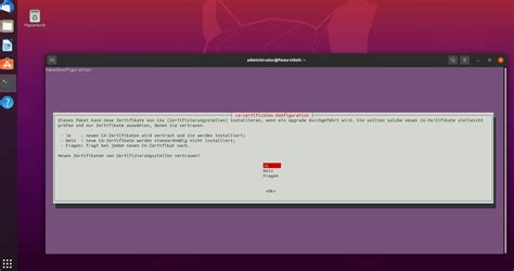 Ubuntu Linux SSL Zertifikat Import