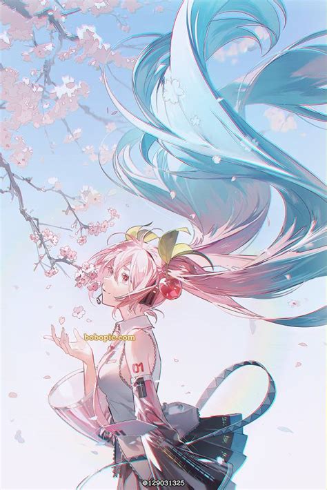 初音未来樱未来vocaloid 100收藏 Rayillustration Pixivdaily 初音未来樱未来vocaloid 100收藏 Rayillustration Pixivdaily