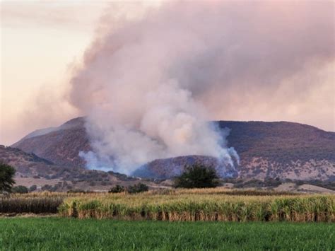 Incendio En La Primavera ¡alerta Combaten El Fuego Dentro Del Área