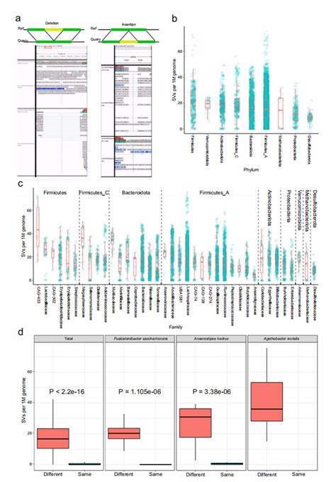 Nature子刊“二代三代”宏基因组学揭示肠道微生物群的个性化结构变异 知乎