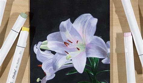 How To Draw A Lily Flower Simple Yet Realistic Step By Step Guide