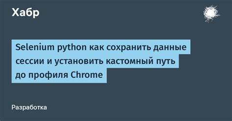 Selenium Python как сохранить данные сессии и установить кастомный путь до профиля Chrome Хабр