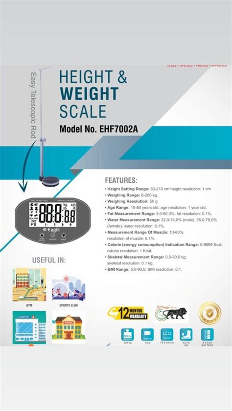 Height And Body With Bmi Measuring Scale At ₹ 18000piece Height Scale