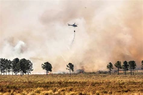 Incendios Forestales Reportan Cuatro Focos Extremos En Corrientes