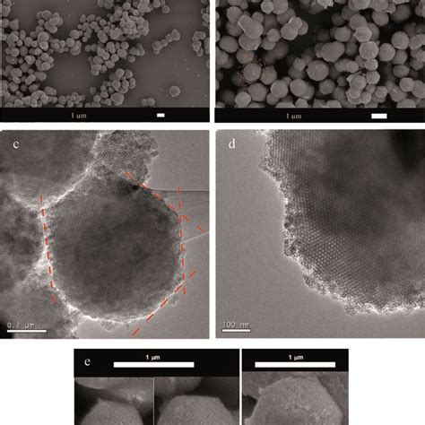 Scanning Electron Micrographs A B And E And Transmission Electron