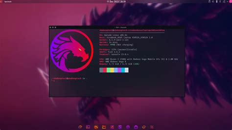 Garuda Linux Install On A Windows PC Laptop Dragonized Edition