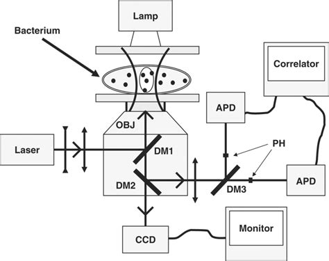 Experimental Fcs Setup A 488 Nm Laser Beam Is Expanded Using A Download Scientific Diagram