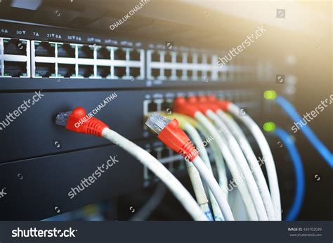 Network Switch Ethernet Cablesdata Center Concept Stock Photo Shutterstock