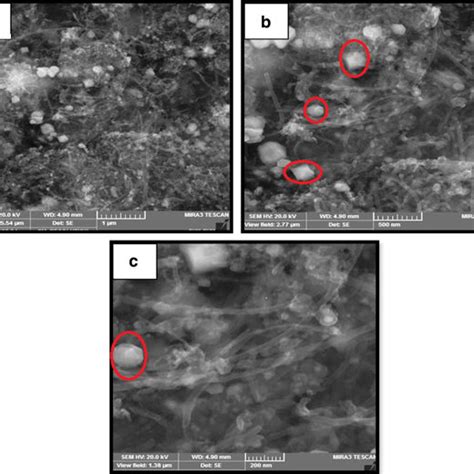 A Tem Image Of Mwcnts With 100 Nm Magnification Grown At 900 °c B Tem Download Scientific