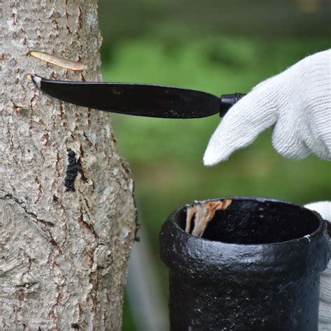 The Historical Epochs Of Kintsugi The Kintsugi Journey