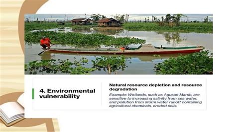 Vulnerability Elements Exposed To A Hazardpptx Environment Science