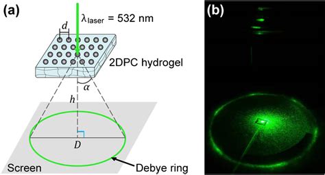 A Schematic Illustration Of Experimental Setup And B A Photograph Of Download Scientific