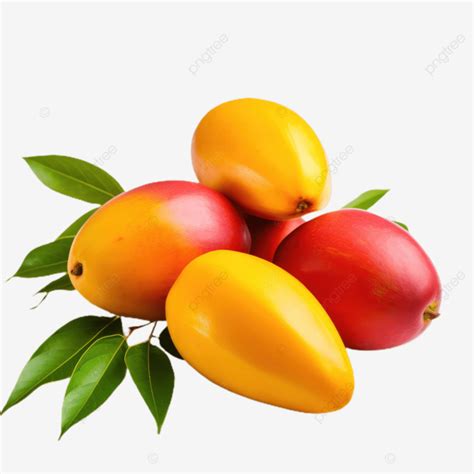 잘 익은 망고 투명 배경 신선한 과일 투명한 익은 Png 일러스트 및 Psd 이미지 무료 다운로드 Pngtree