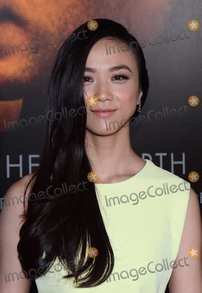 Photos And Pictures 8 January 2015 Hollywood California Tang Wei