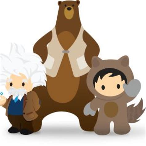 See Spring Mentoring Check In At Trailblazer Community Salesforce Admin Group Denver United States