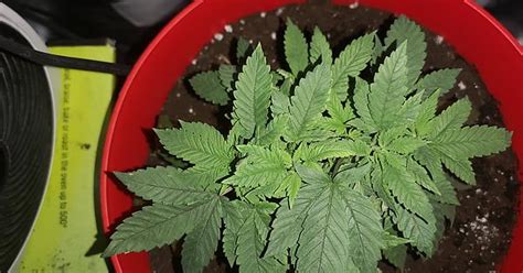 Day90 Album On Imgur