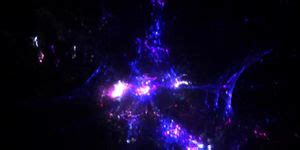 Test Anim Tnaflix Com