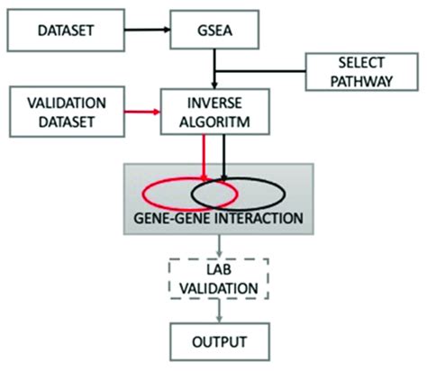 Overall Schematic Flowchart Red Arrows Represent Validation Results Download Scientific