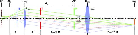 Schematic Of A 4f Inspection Microscope Consisting Of An Objective Lens Download Scientific