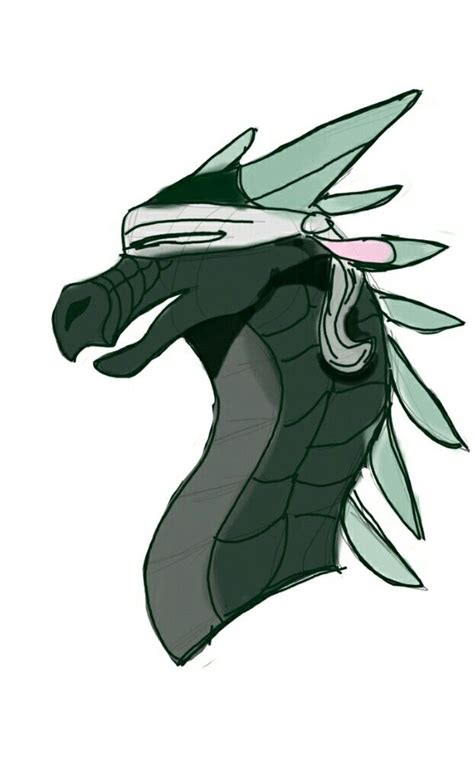 Pin By Cami Collins On Drawing Ideas Wings Of Fire Dragon Drawing Wings