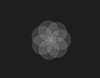 Coding Ellipse Combinations Behance