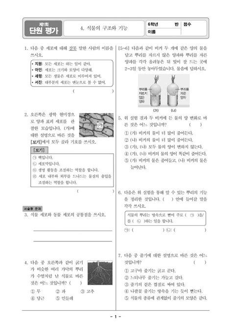 초등학교 6학년 과학 4단원 단원 평가 1 Online Exercise For Live Worksheets