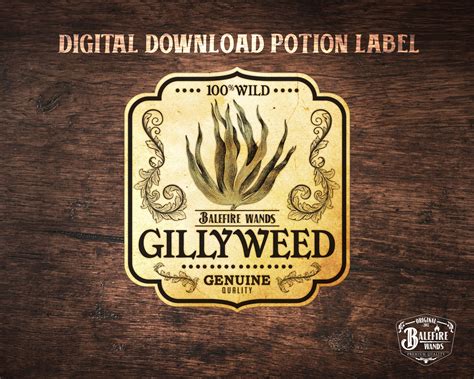 harry potter potion label template