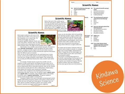 Scientific Names Reading Comprehension Passage And Questions Pdf