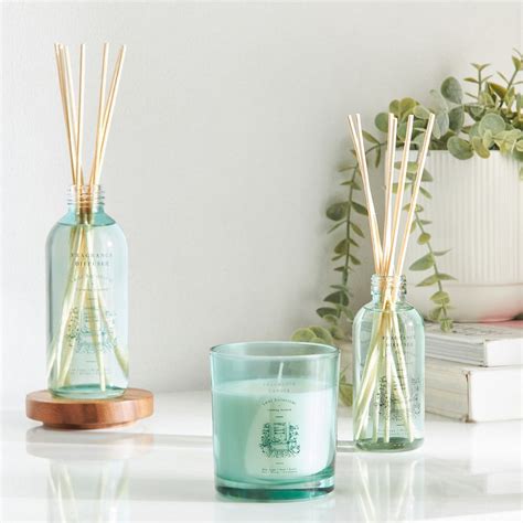 Shop Calming Leaf Botanical Reed Diffuser 120 Ml Home Centre Uae