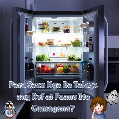 Para Saan Nga Ba Talaga Ang Ref At Paano Ito Gumagana