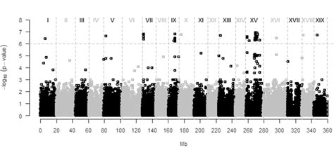 Sex Associated SNP Markers In The Arctic Alpine Willow Salix Herbacea Download Scientific