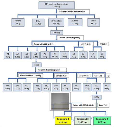 Extraction Fractionation And Isolation Of Bioactive Compounds From Download Scientific